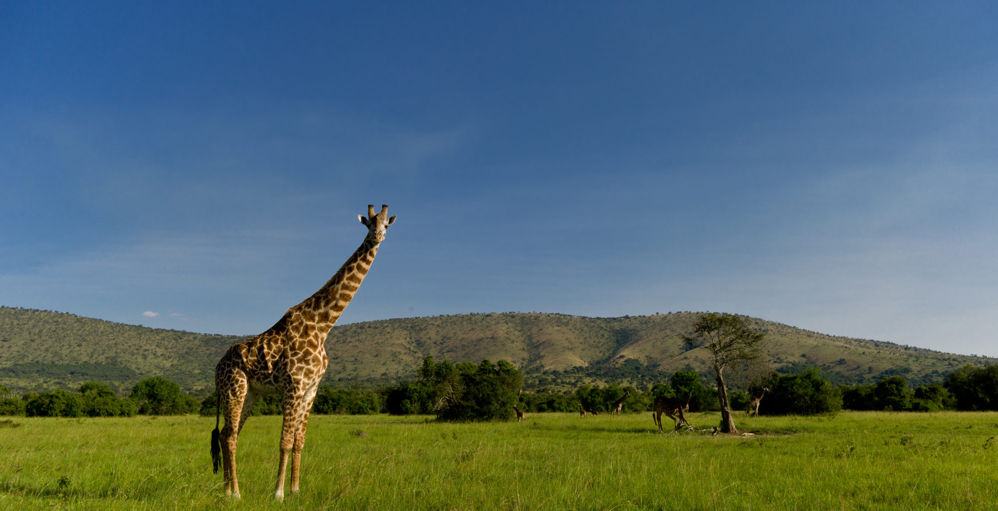 4 Days Akagera National Park Safari & Wildlife Holiday Tour